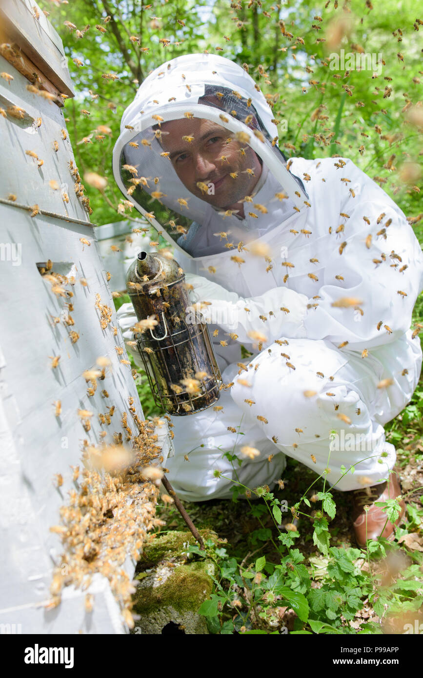 beekeeper smoking a hive Stock Photo - Alamy