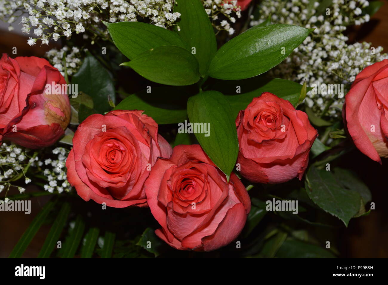 Five pink roses in a bouquet Stock Photo - Alamy