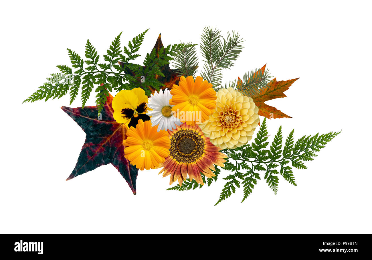 Autumn themed floral element, isolated on white background. Seas Stock ...