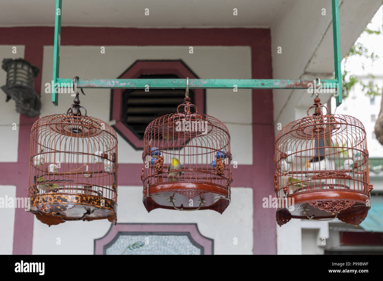 Song Birds in Vintage Cages Outside Stock Photo - Alamy
