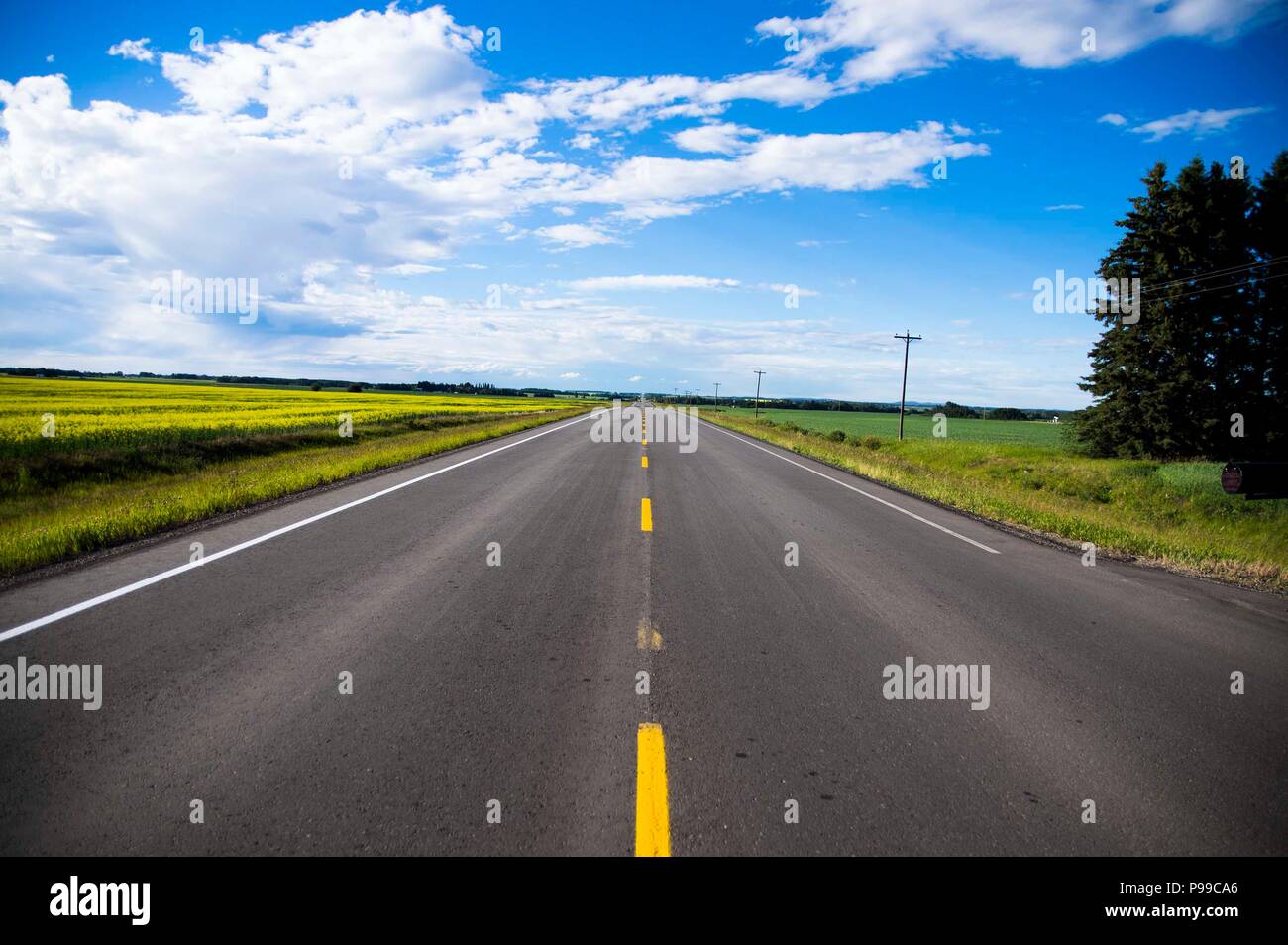 Alberta Country Road Stock Photo - Alamy