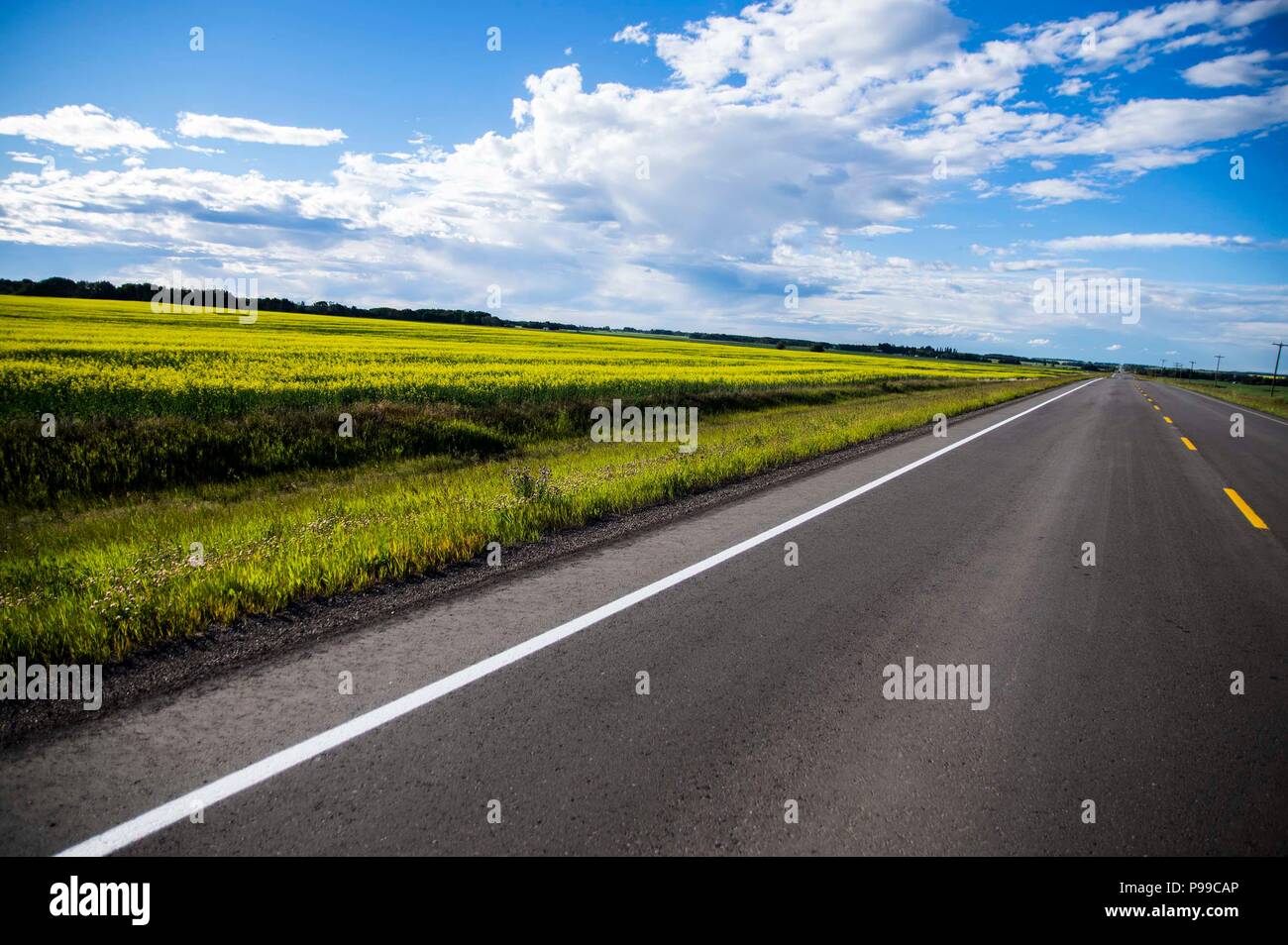 Alberta Country Road Stock Photo - Alamy