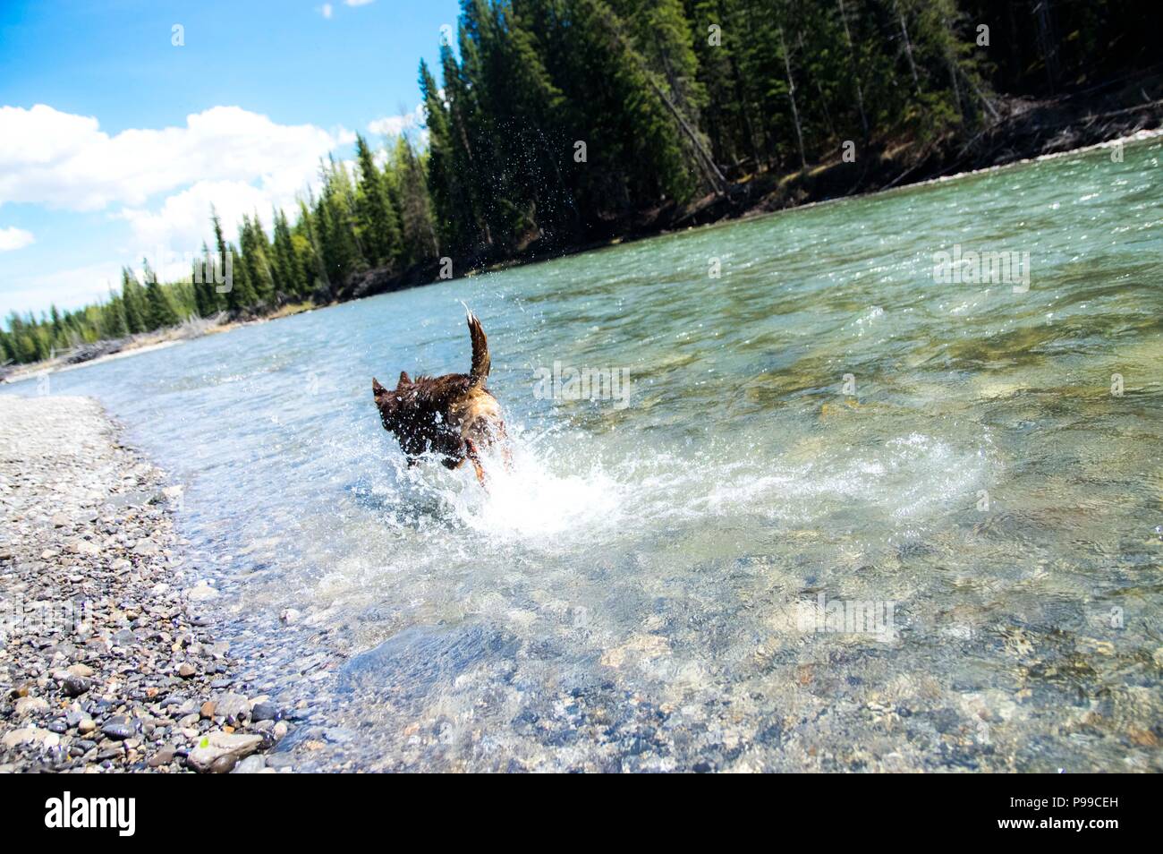 Alberta Country Roads Stock Photo - Alamy