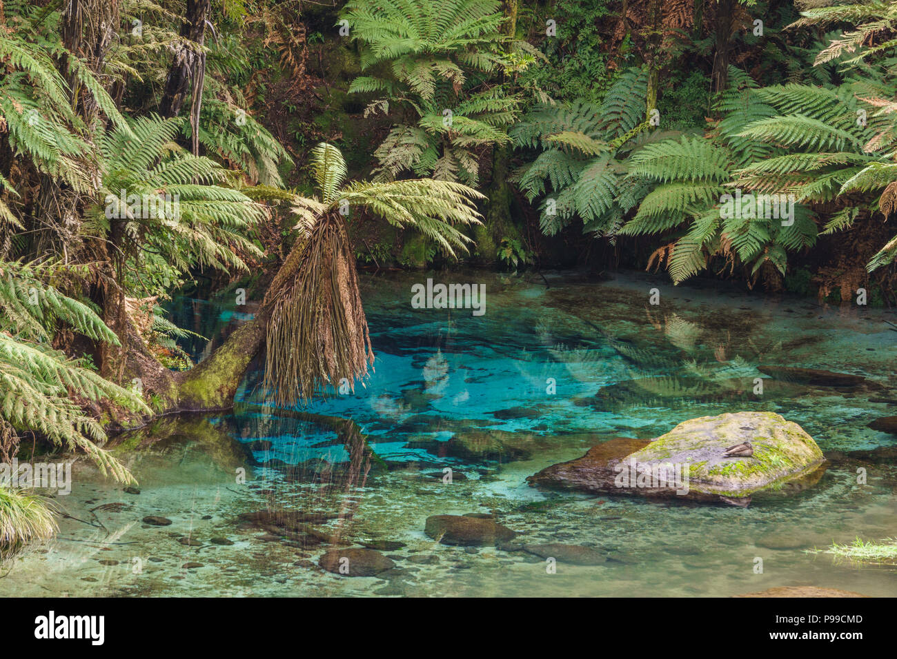 Clear Natural Spring