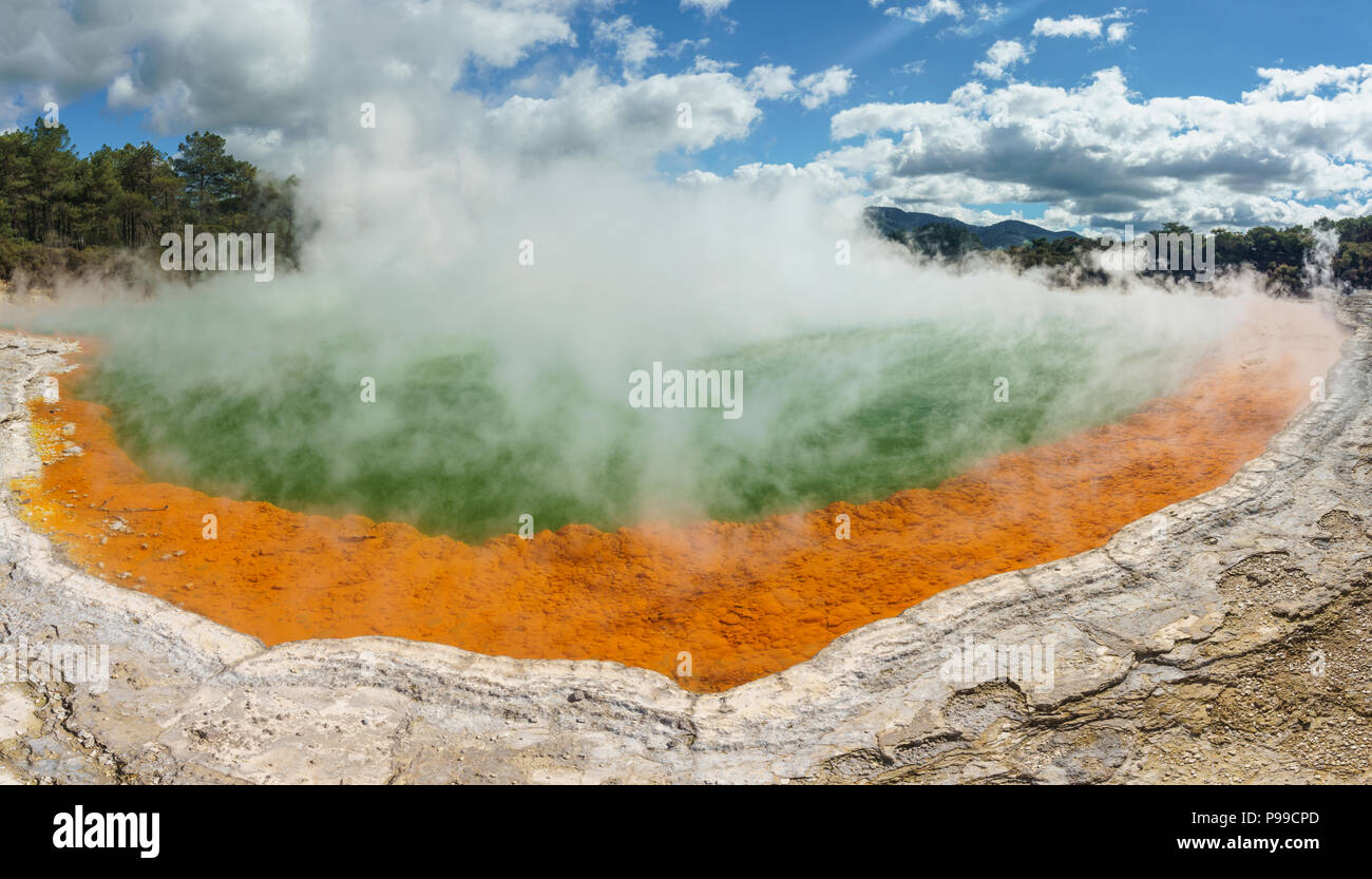Champagne pool, a terrestrial hot spring with abundant carbon dioxide ...