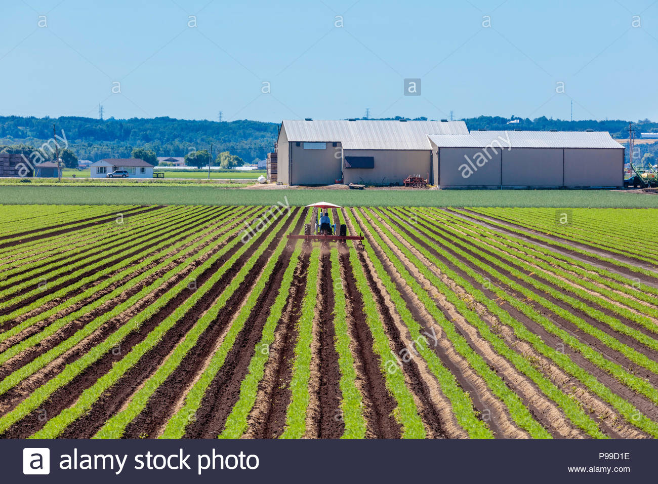 Dutch Settlement High Resolution Stock Photography and Images - Alamy