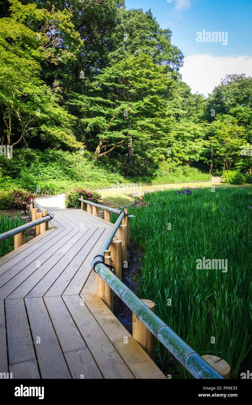 Meiji jingu inner garden, yoyogi park, Tokyo, Japan Stock Photo - Alamy