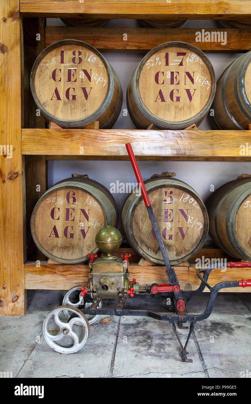 Canteiro method, barrels of Madeira, cellar, vintage, winery, storage ...