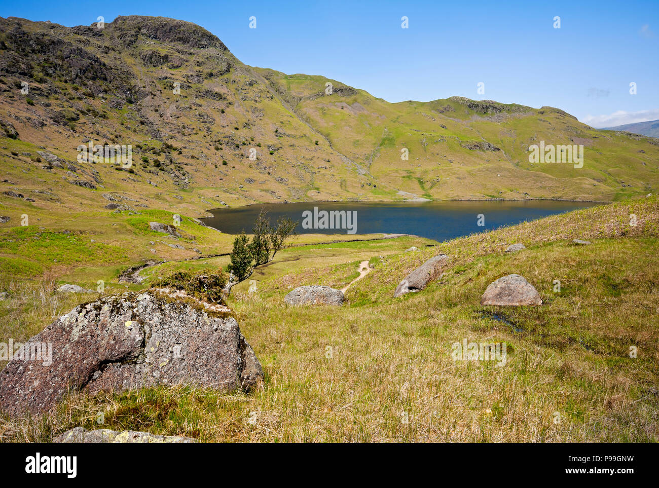 Easedale Tarn and Tarn Crag in spring Lake District National Park ...