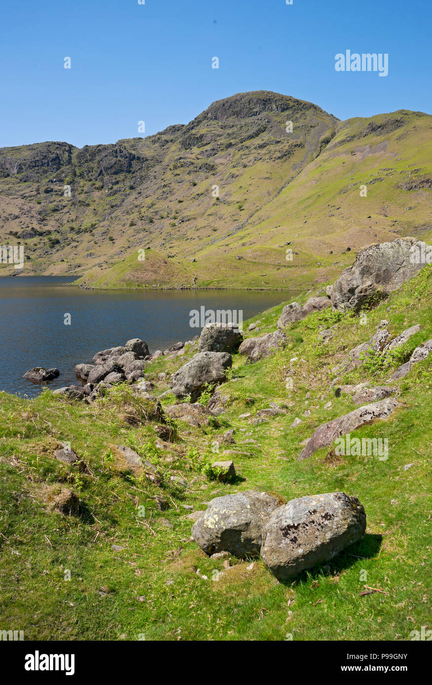 Easedale Tarn and Tarn Crag in spring Lake District National Park ...