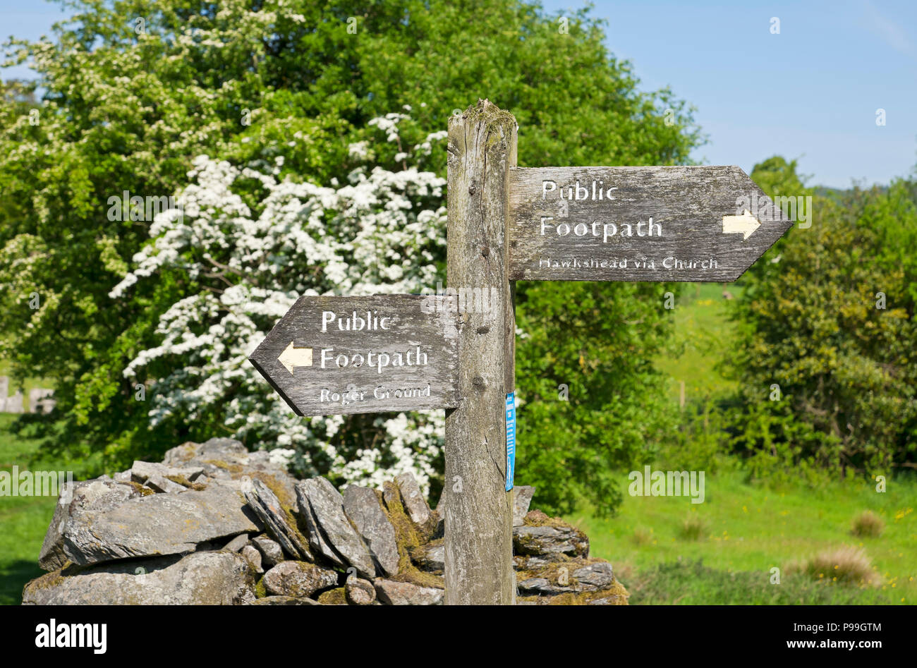 Close up of public footpath signs path walk walks near Hawkshead Lake ...