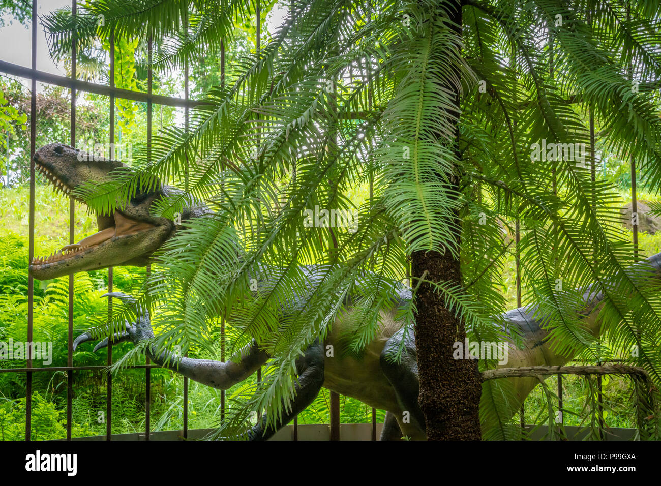 Dinosaur family tree hi-res stock photography and images - Alamy