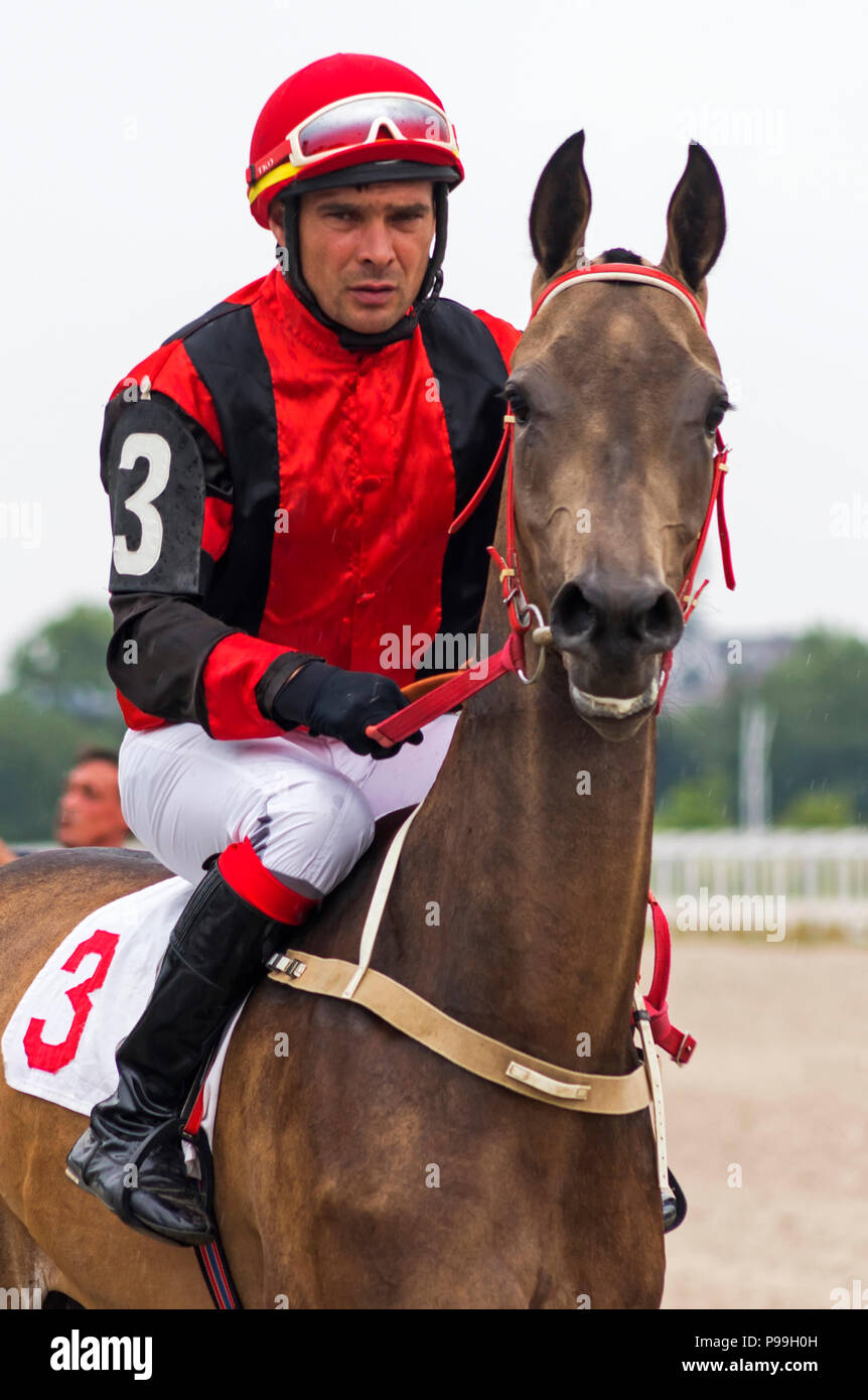 Portrait of brown sport horse with jockey Stock Photo - Alamy