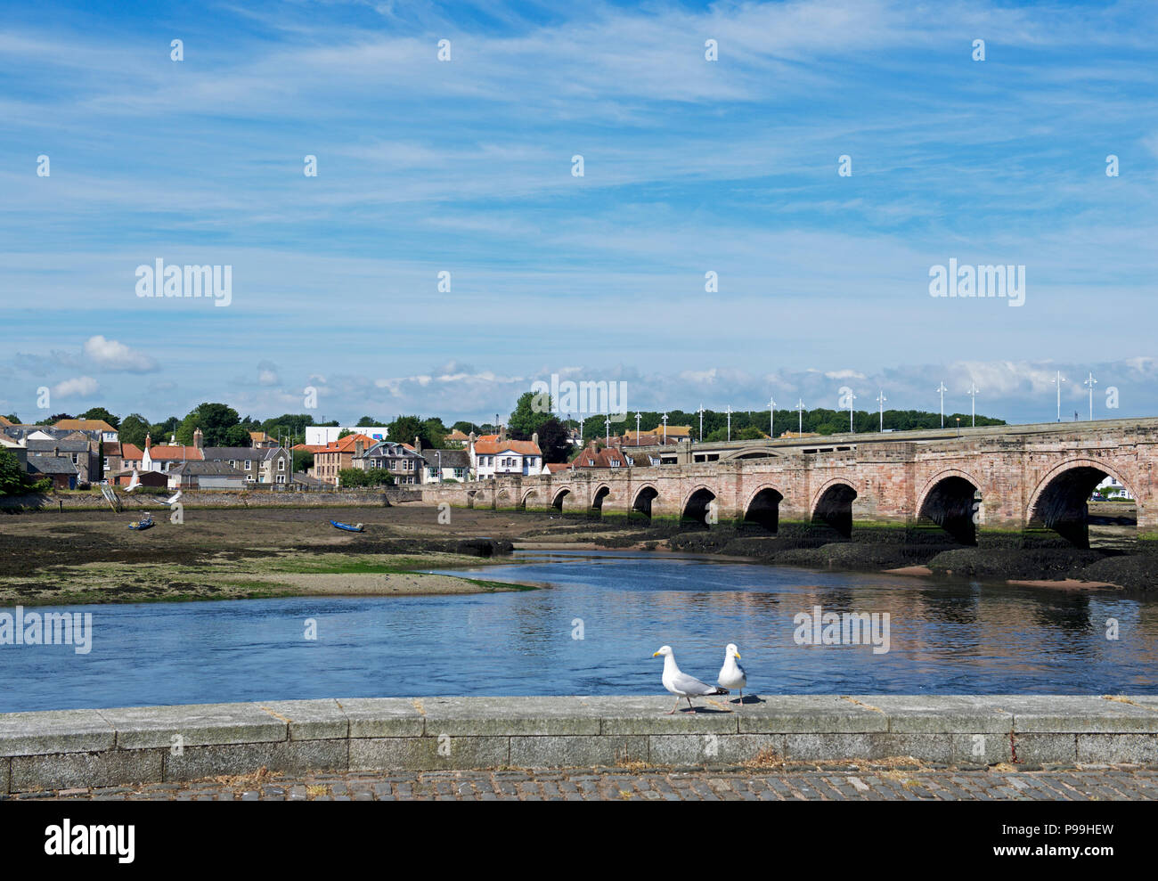Berwick-upon-Tweed, Northumberland, England UK Stock Photo - Alamy