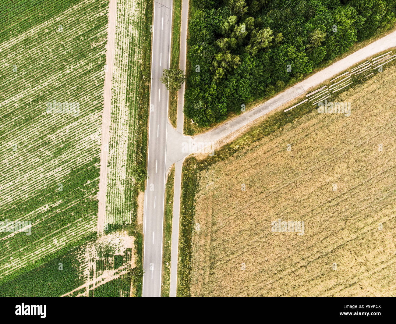 Aerial woodland vertical hi-res stock photography and images - Alamy