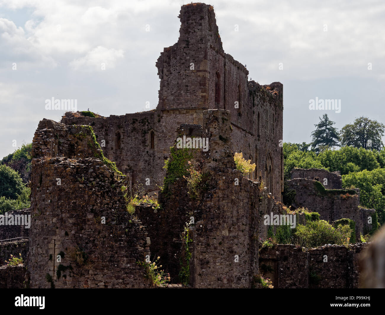 Chepstow Castle, Gwent, Monmouthshire. UK Stock Photo - Alamy