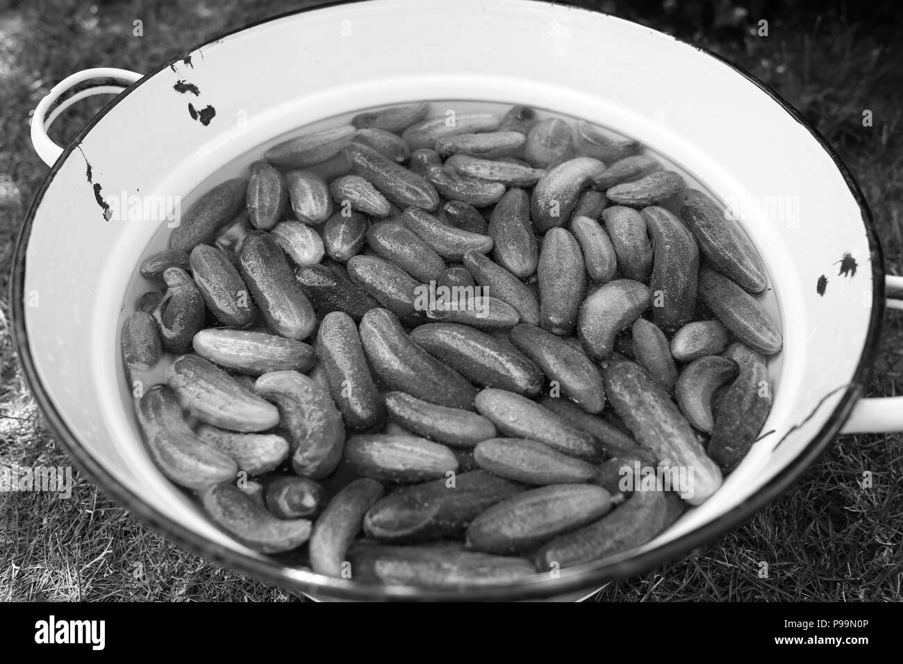 Vegetarian vegan food bowl Black and White Stock Photos & Images - Alamy
