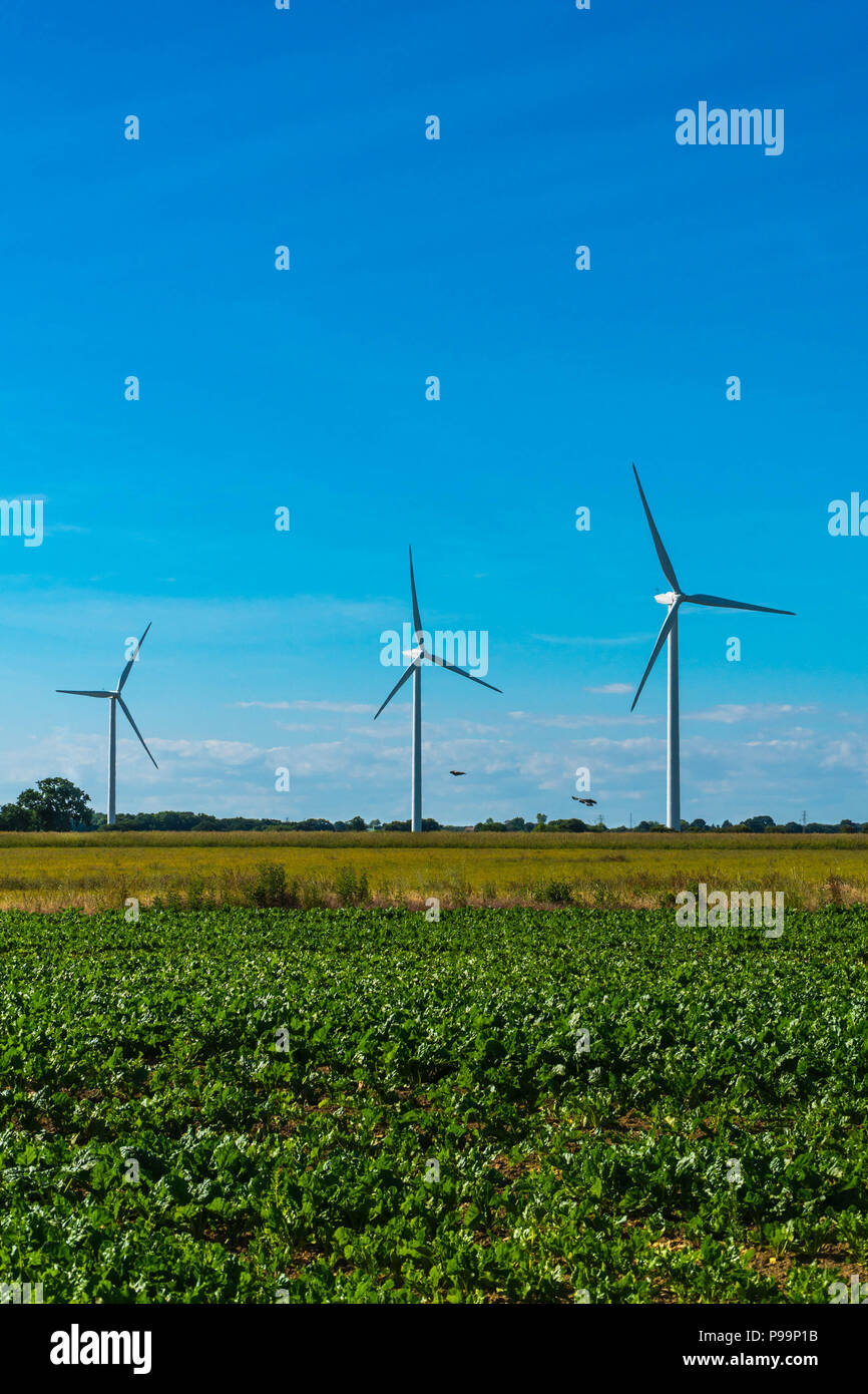 Wind turbines Clacton on Sea Essex UK June 2018 Stock Photo - Alamy