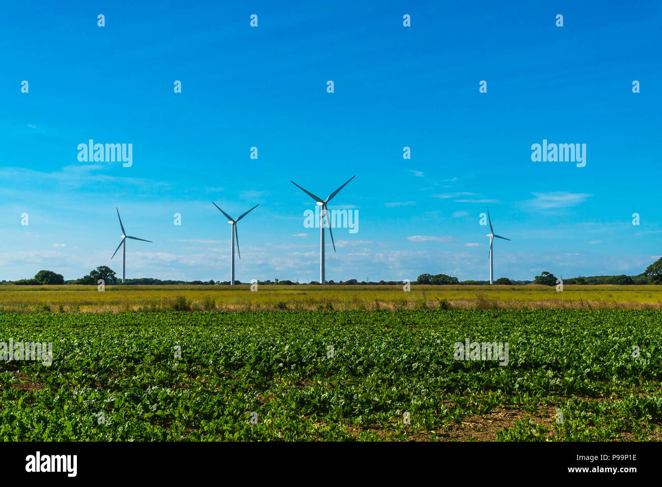 Essex wind turbines hi-res stock photography and images - Alamy