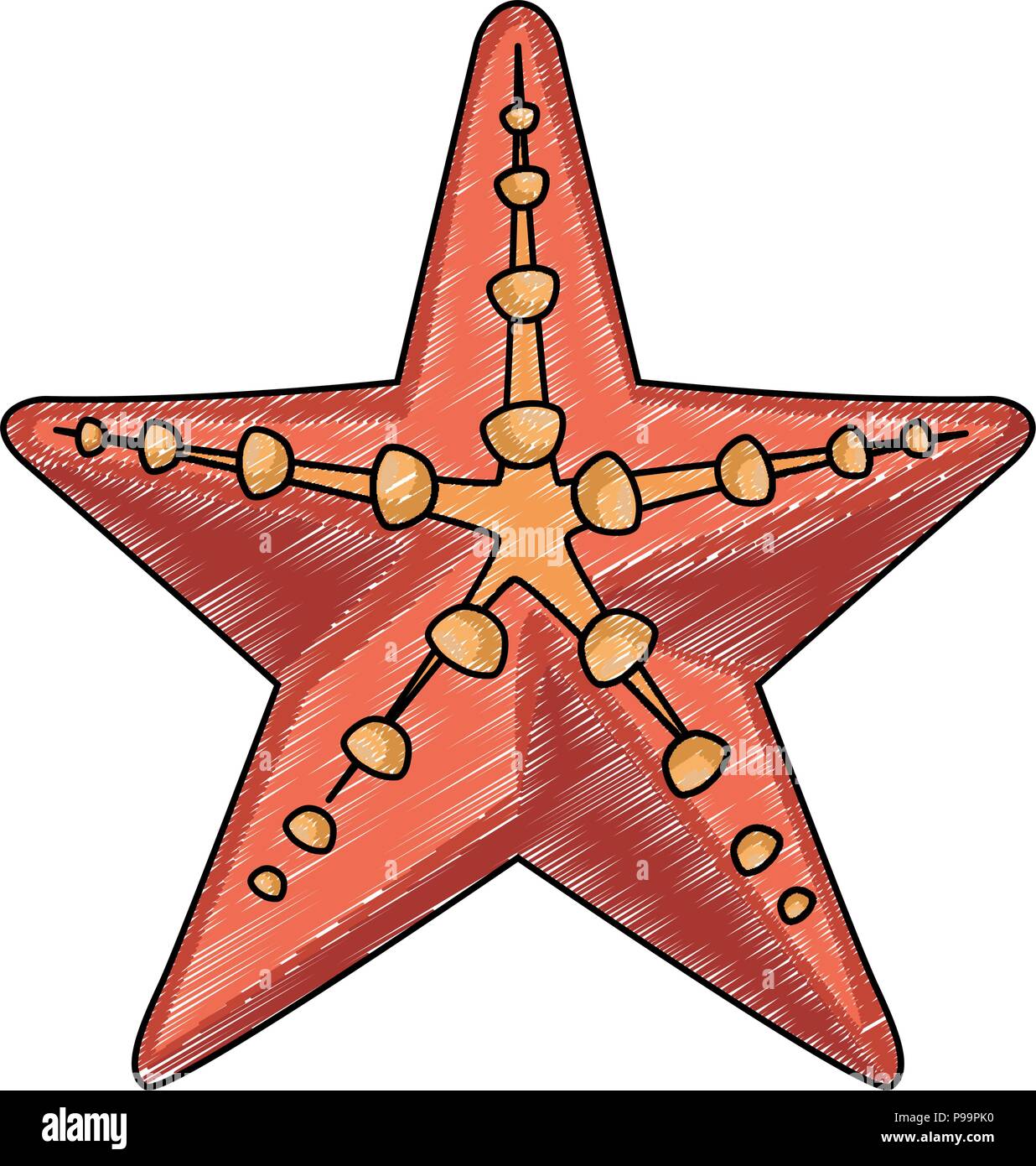 Sea star isolated vector illustration graphic design Stock Vector Image ...