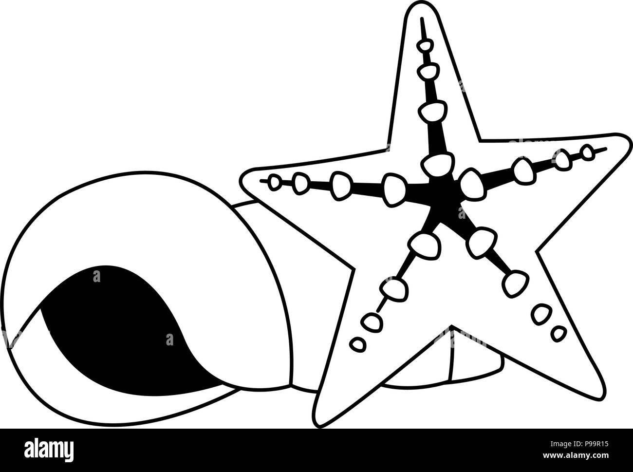 Shell and star sea vector illustration graphic design Stock Vector ...