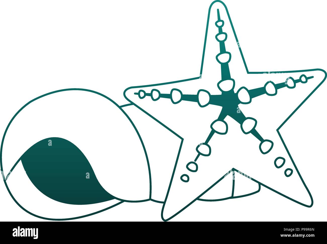 Shell and star sea vector illustration graphic design Stock Vector ...