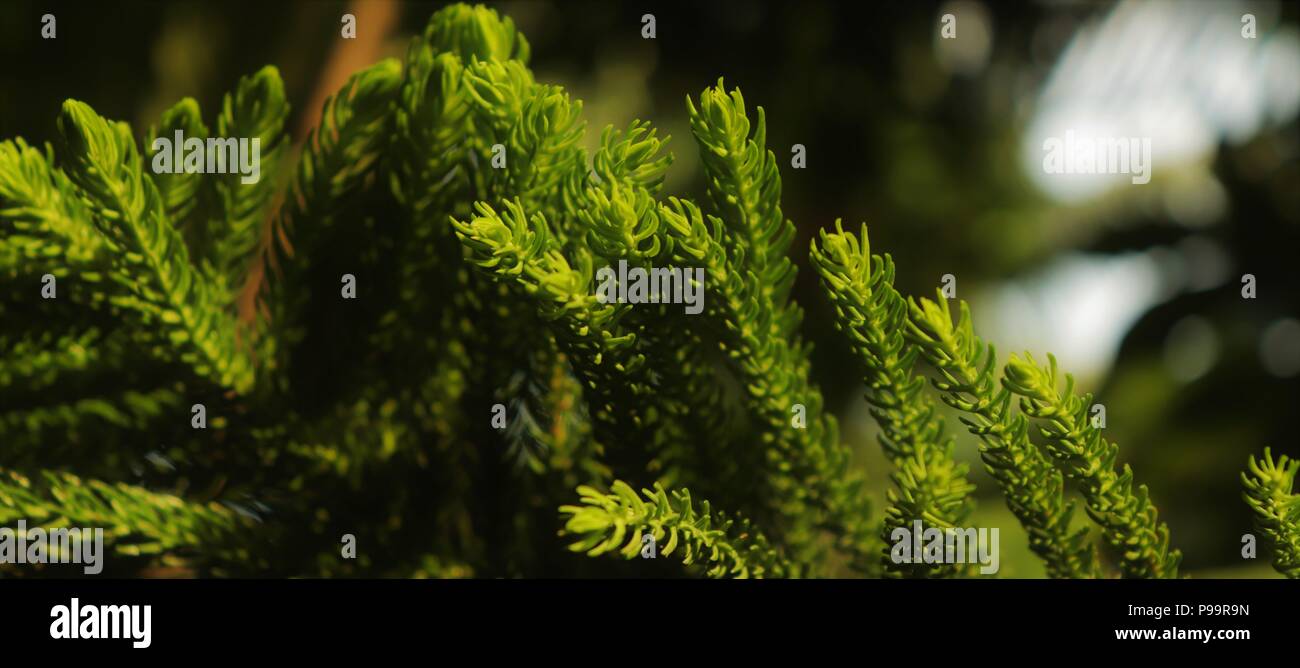 Stick together hi-res stock photography and images - Alamy