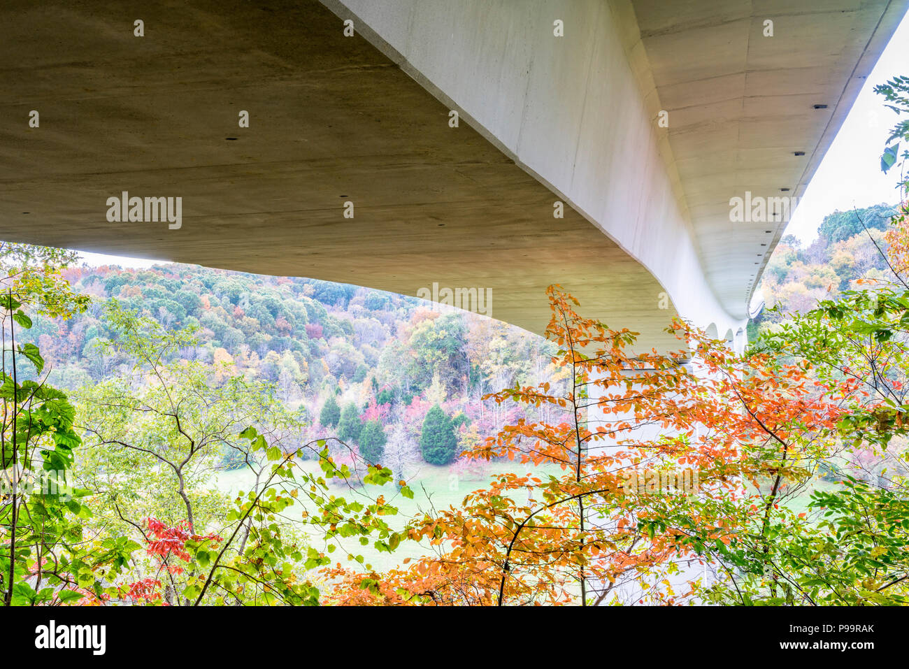 Double Arch Bridge at Natchez Trace Parkway near Franklin, TN, fall ...