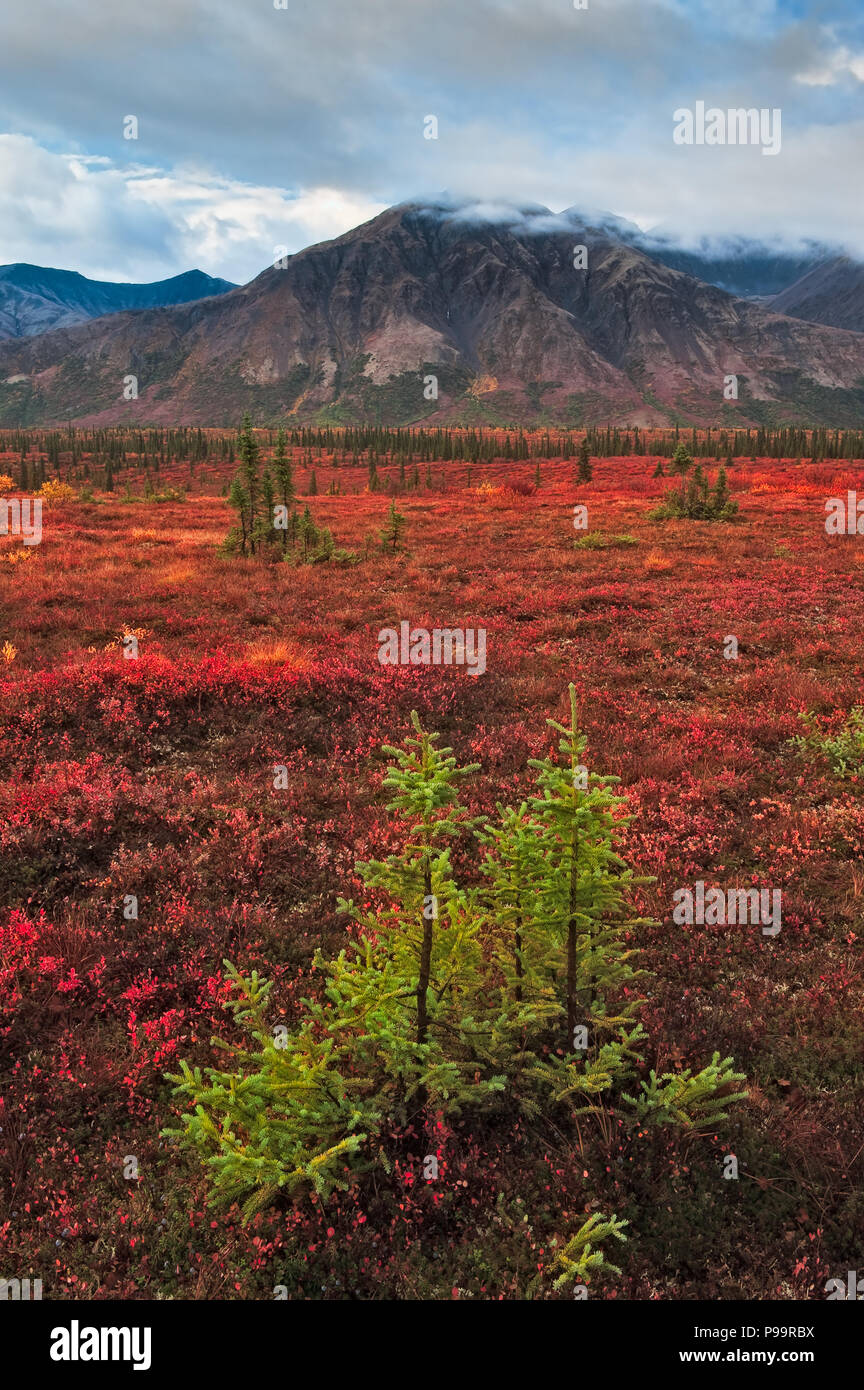 Alaska autumn landscape hi-res stock photography and images - Alamy