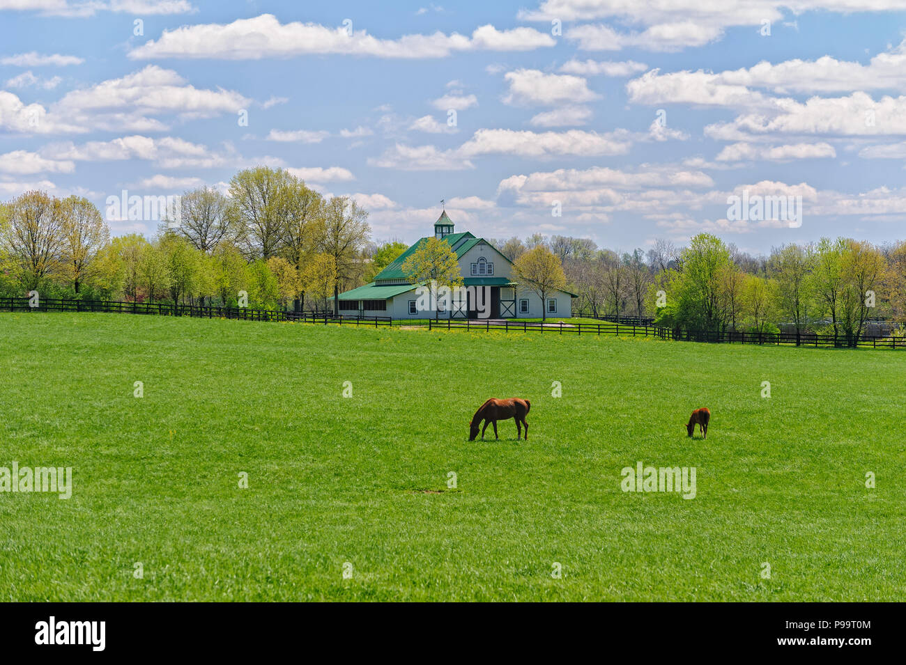 Horse farm in Kentucky Stock Photo - Alamy