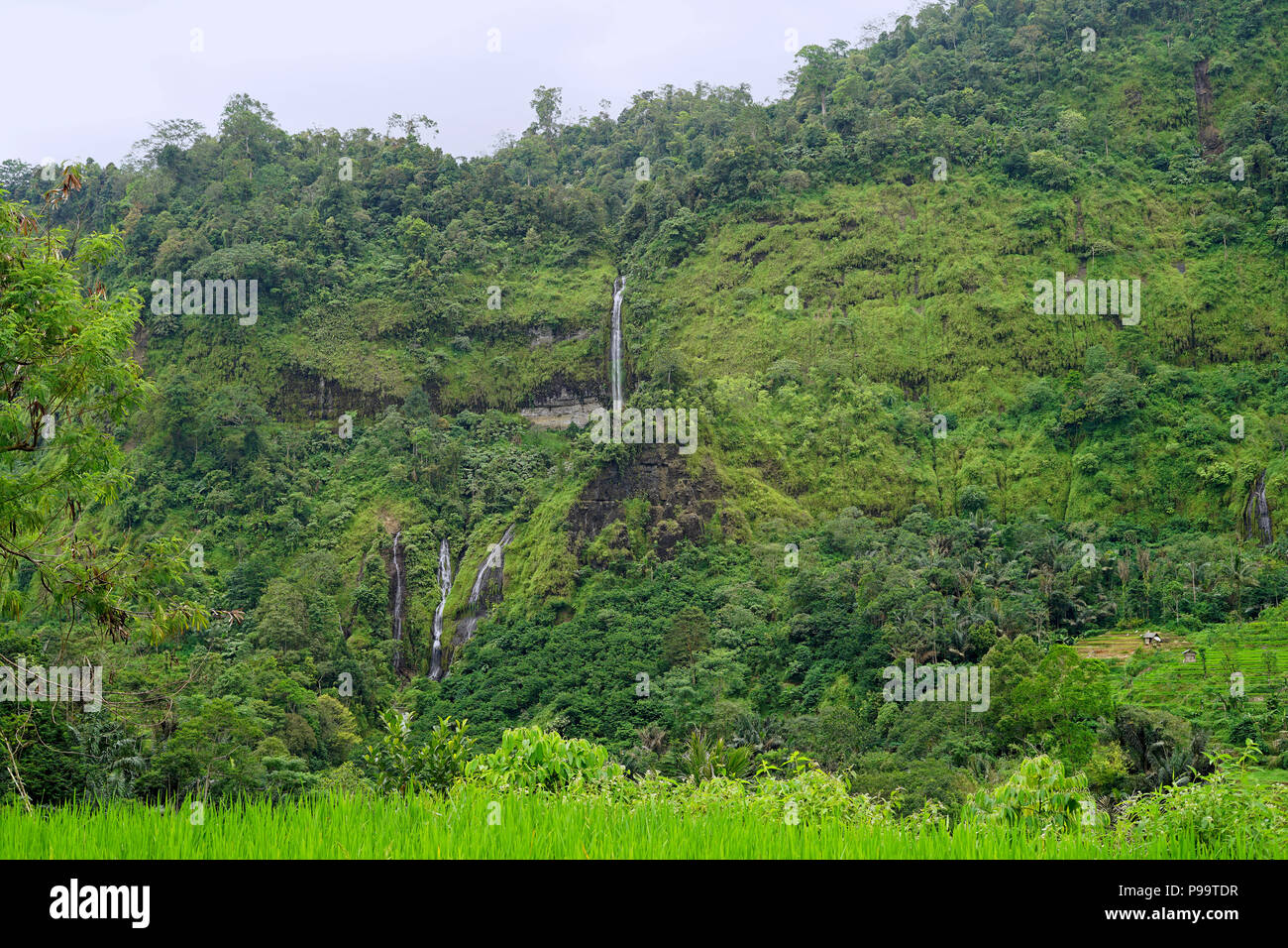 Naringgul Waterfall, Cianjur Selatan, West Java, Indonesia Stock Photo - Alamy