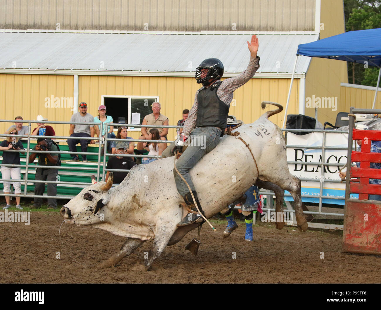 Bull riding hi-res stock photography and images - Alamy