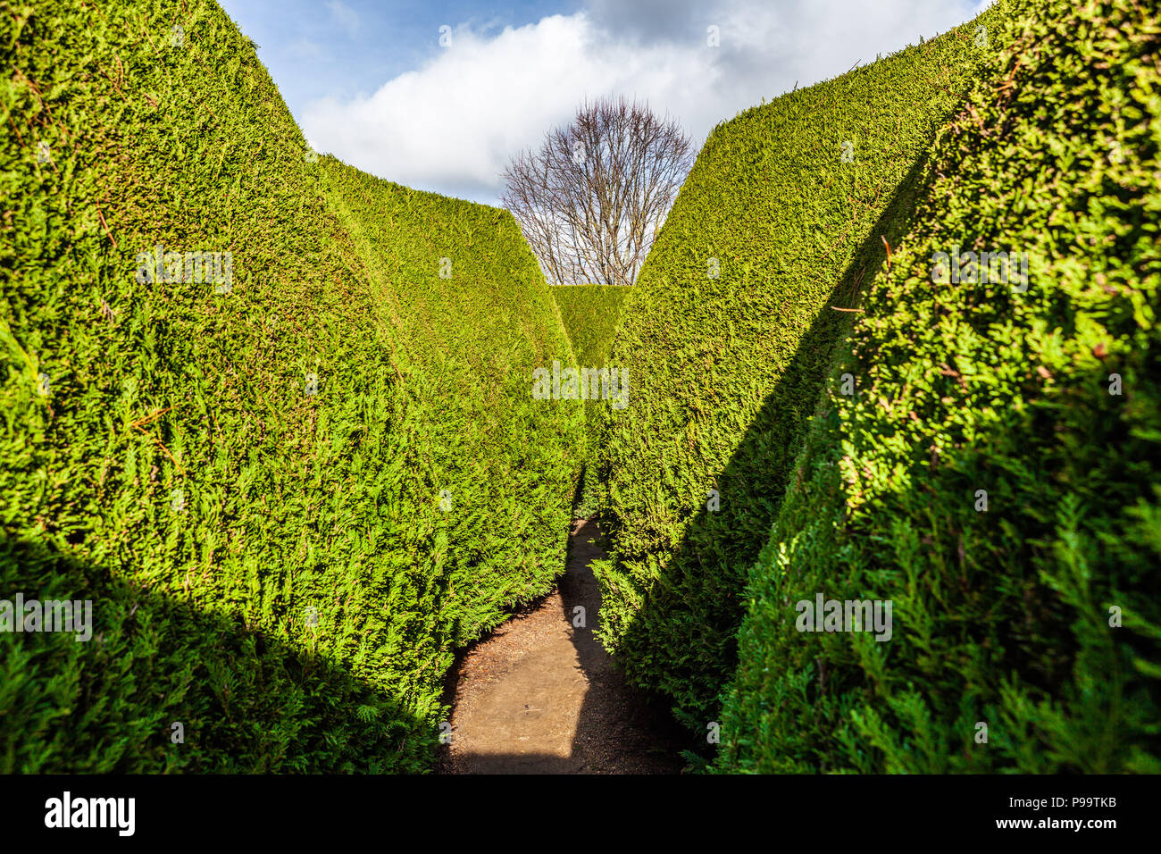 Maze hedge pattern labyrinth hi-res stock photography and images - Alamy