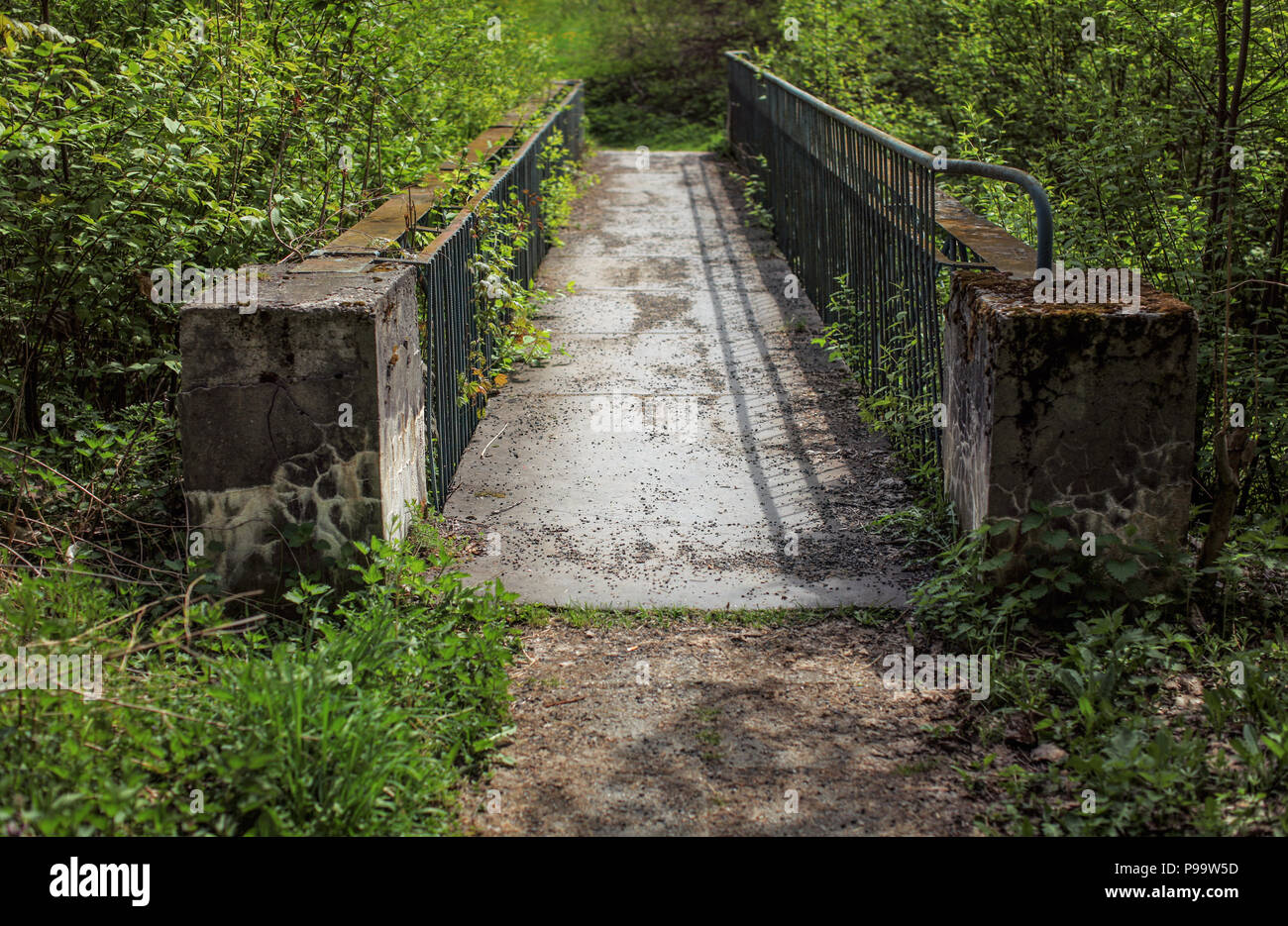 Small old concrete bridge, fence rusted, covered with thick vegetation ...