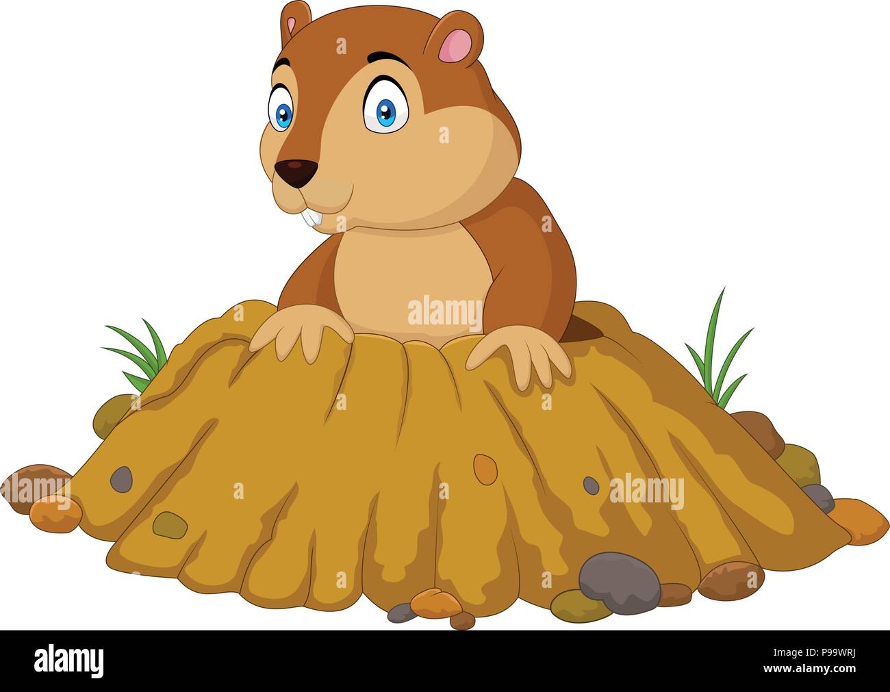 Baby prairie dog Stock Vector Images - Alamy