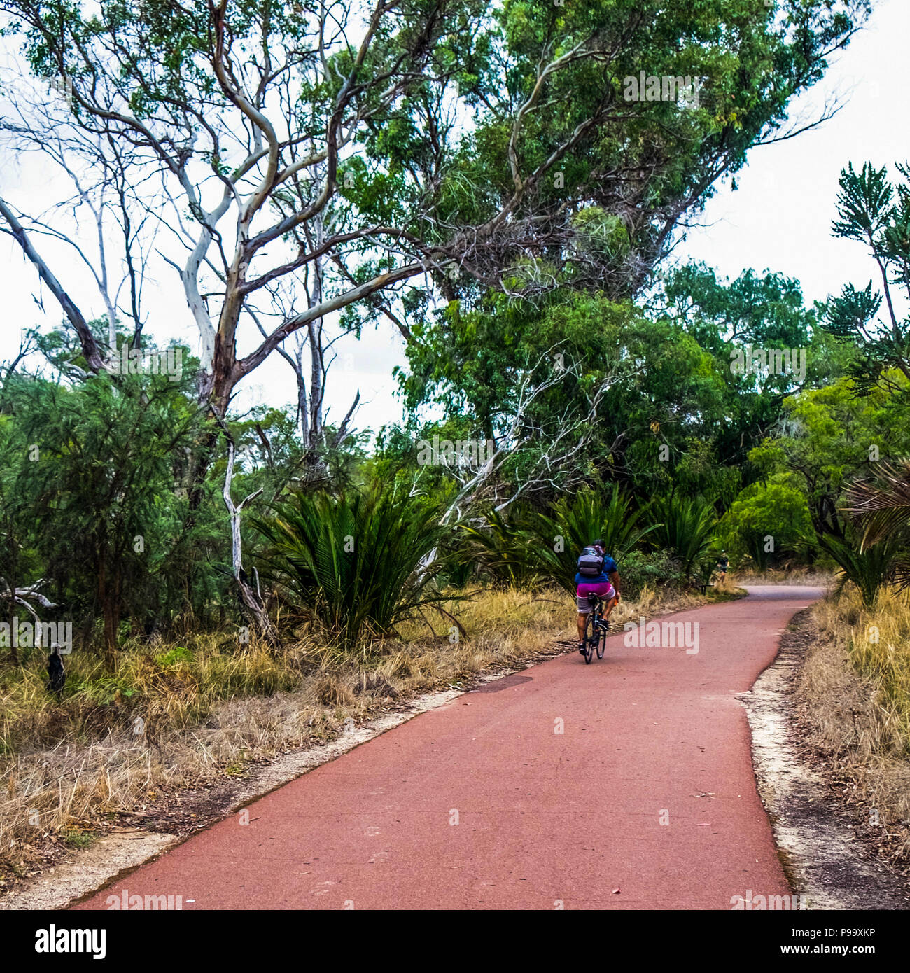Shared path australia hi-res stock photography and images - Alamy