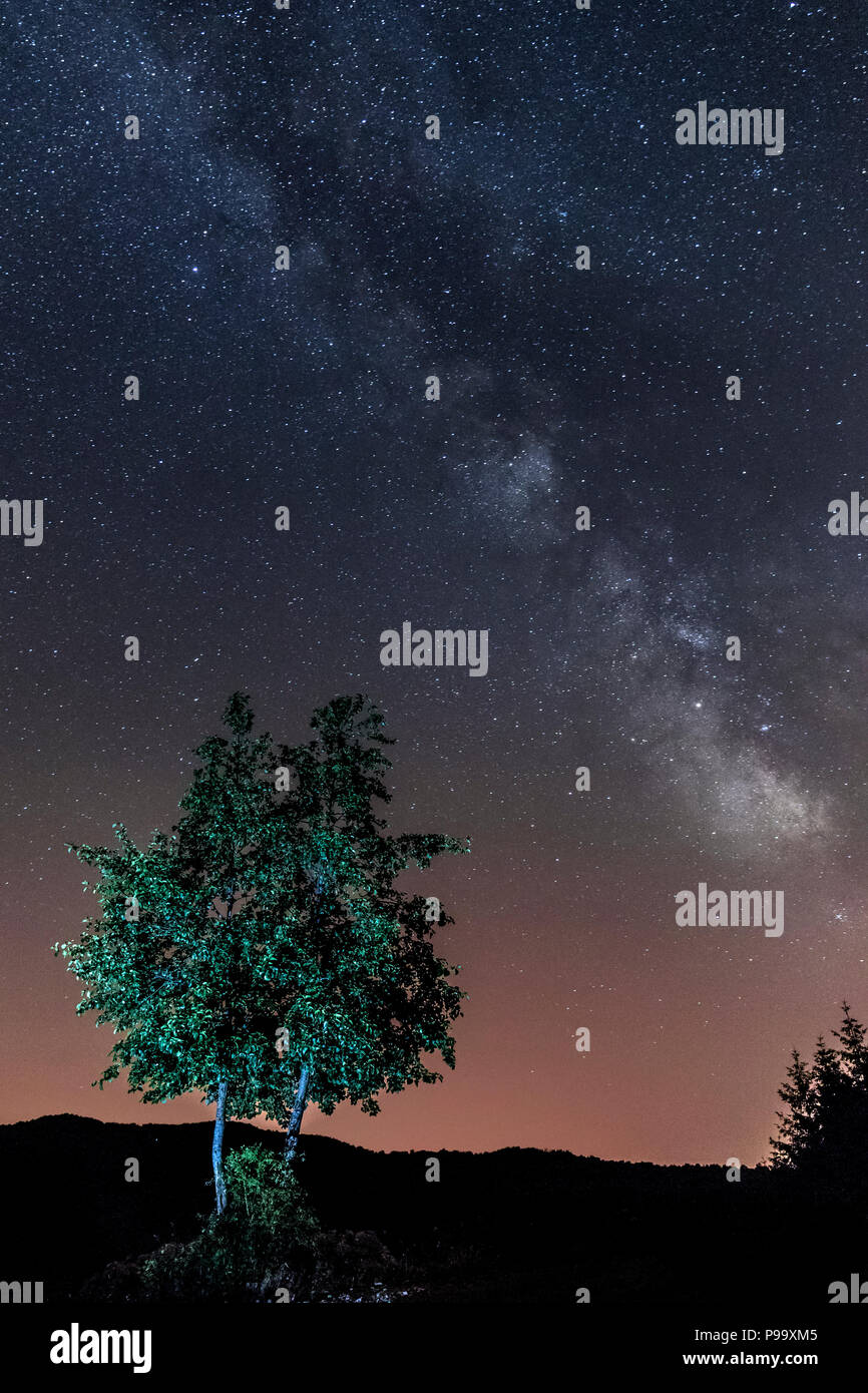 European Wild Pear and Milky Way, nocturnal landscape Stock Photo - Alamy