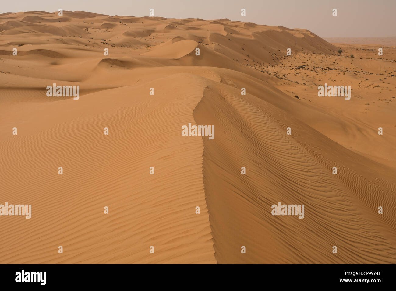 Al wahiba hi-res stock photography and images - Alamy