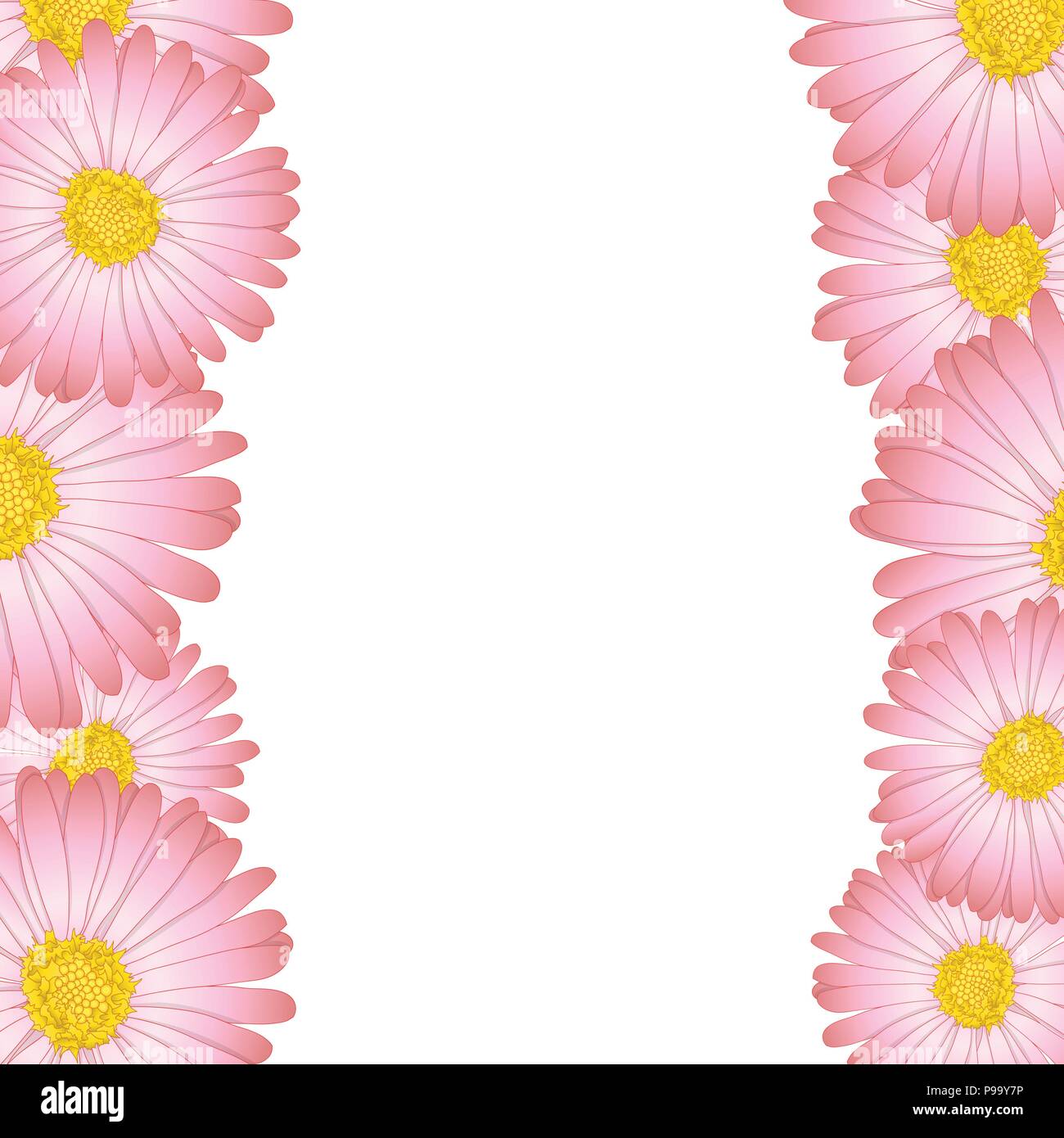 Pink Aster, Daisy Flower Border. Vector Illustration Stock Vector Image ...