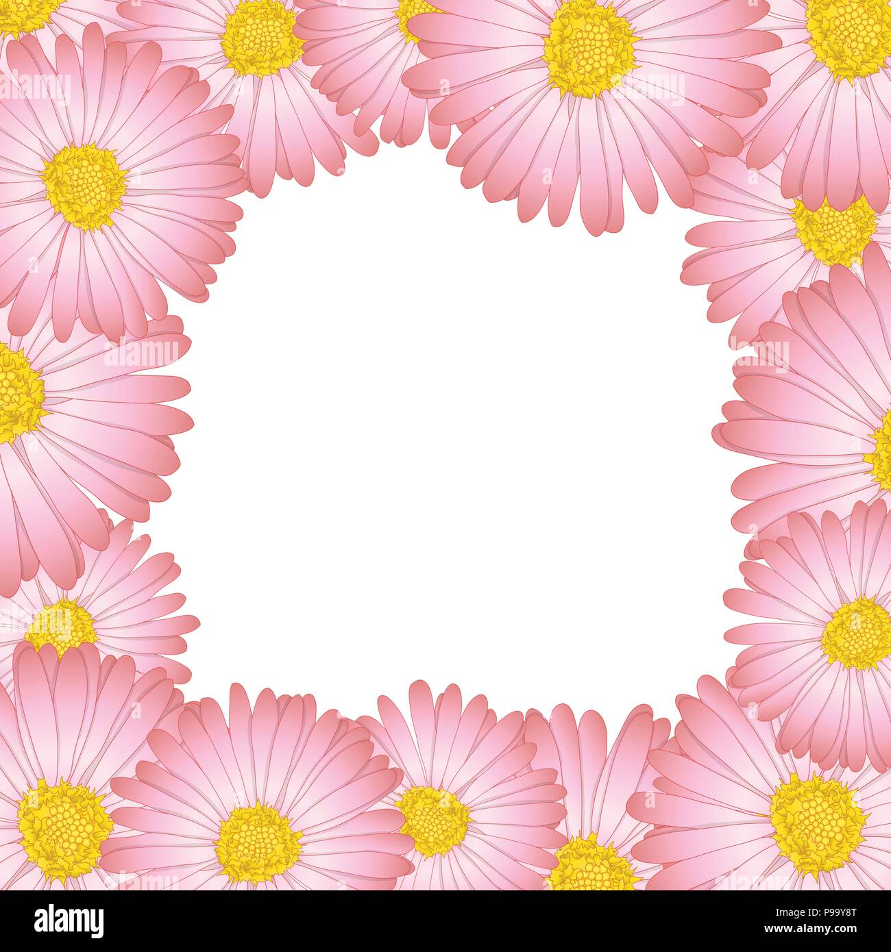 Pink Daisy Border