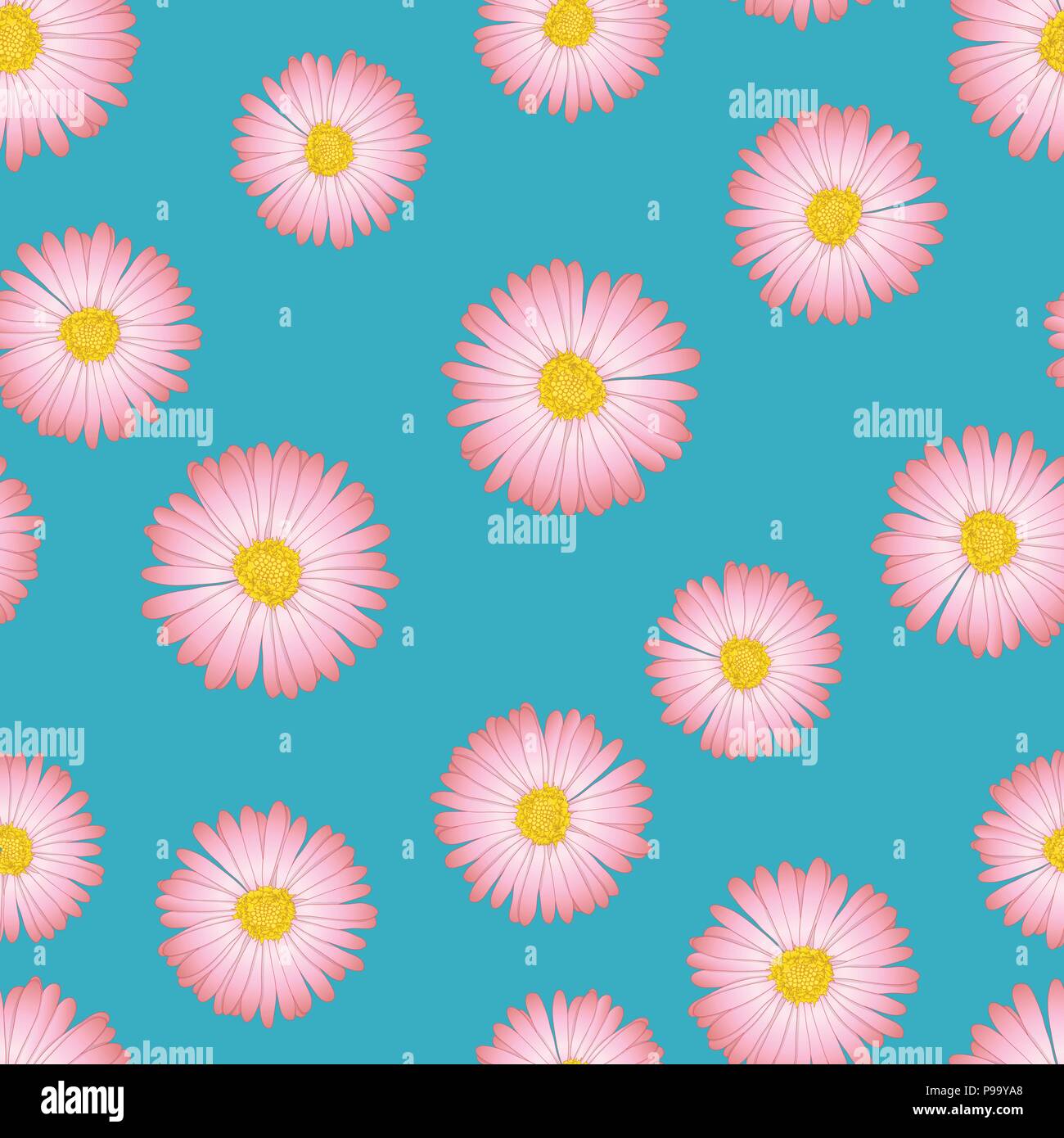 Pink Aster, Daisy Seamless on Blue Background. Vector Illustration ...