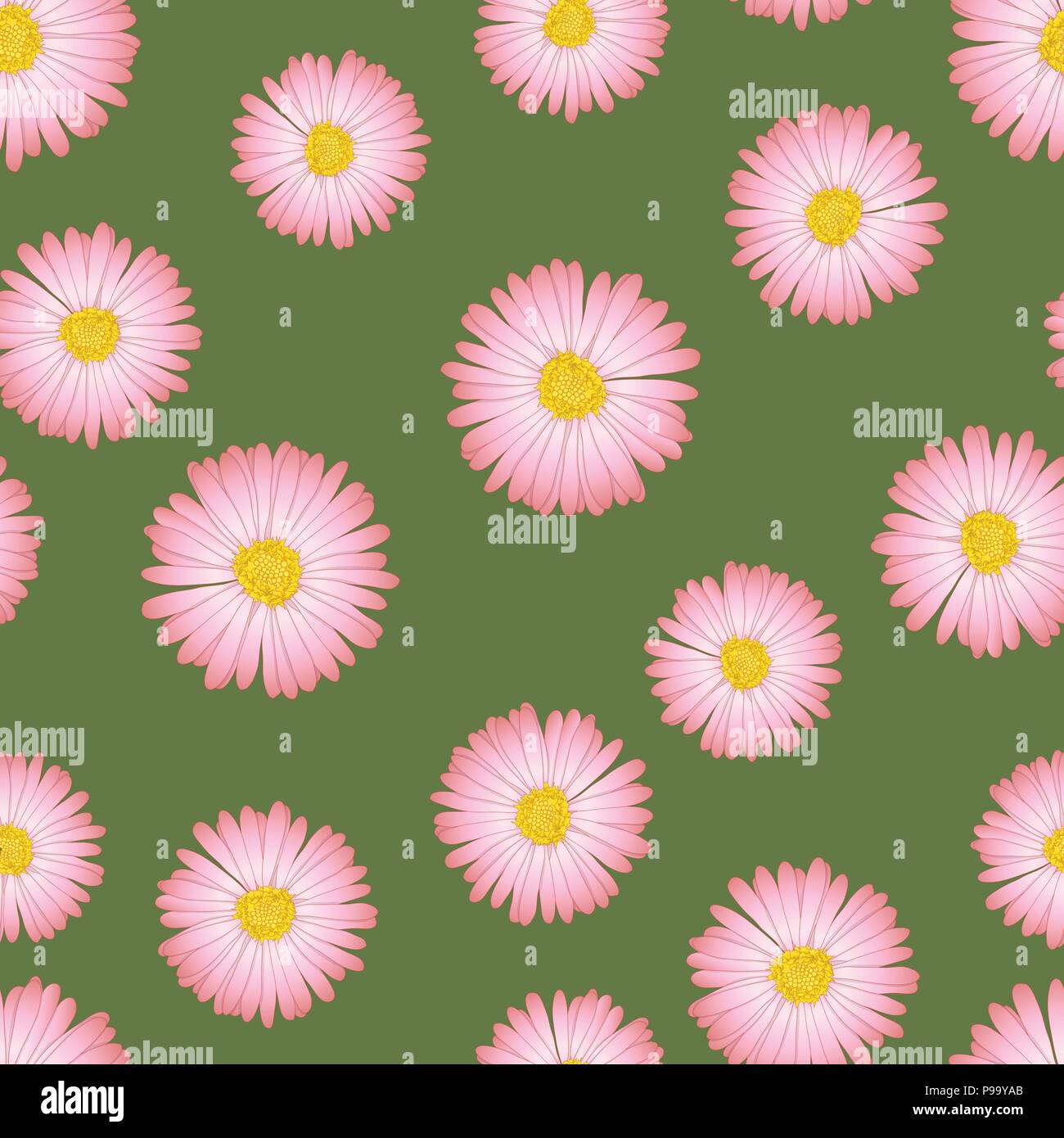 Pink Aster, Daisy Seamless on Green Background. Vector Illustration ...