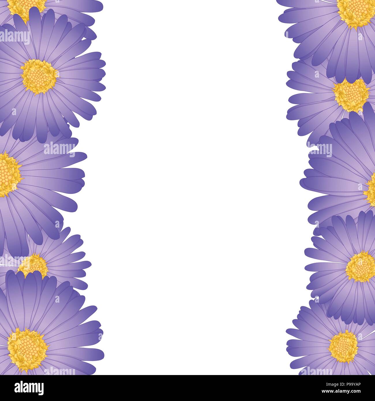 Aster garden border Stock Vector Images - Alamy