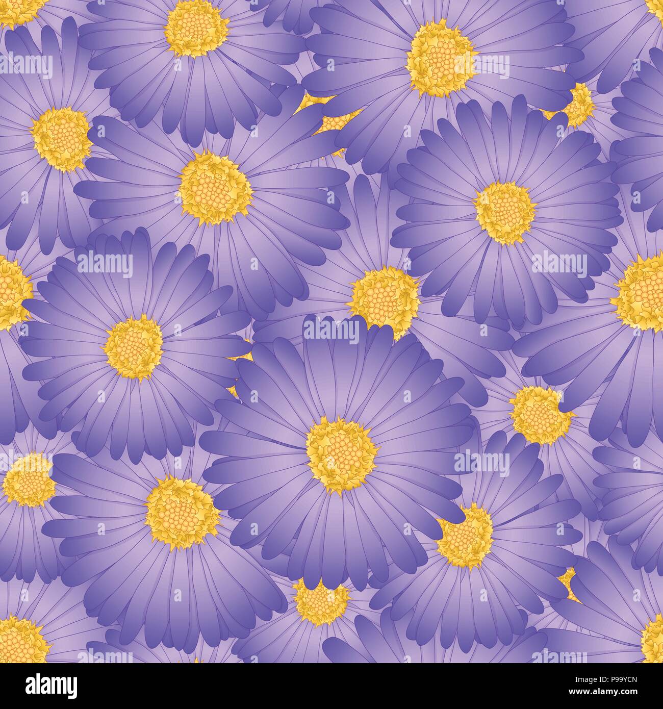 September birth flower Stock Vector Images - Alamy