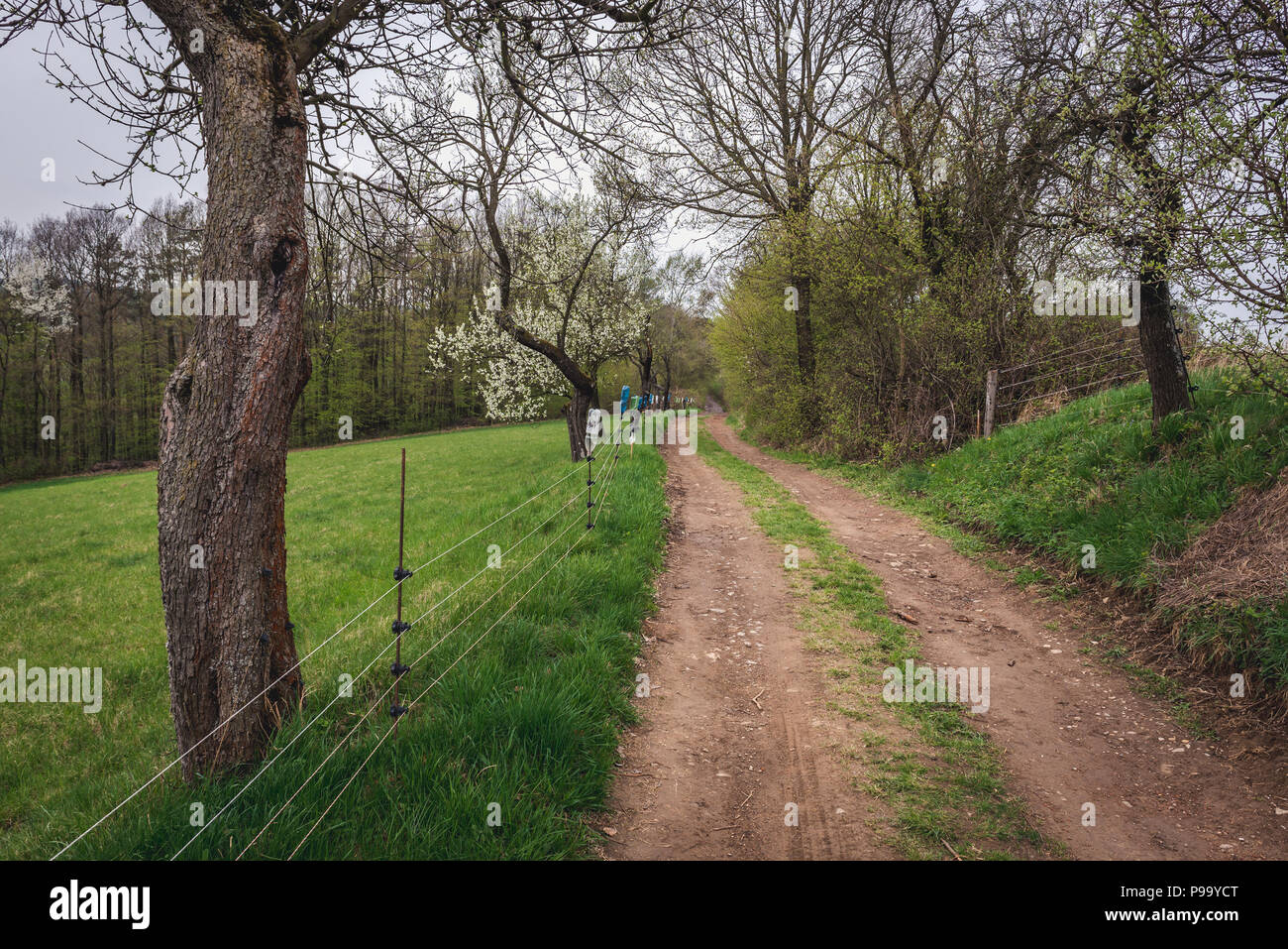 Lateral road hi-res stock photography and images - Alamy