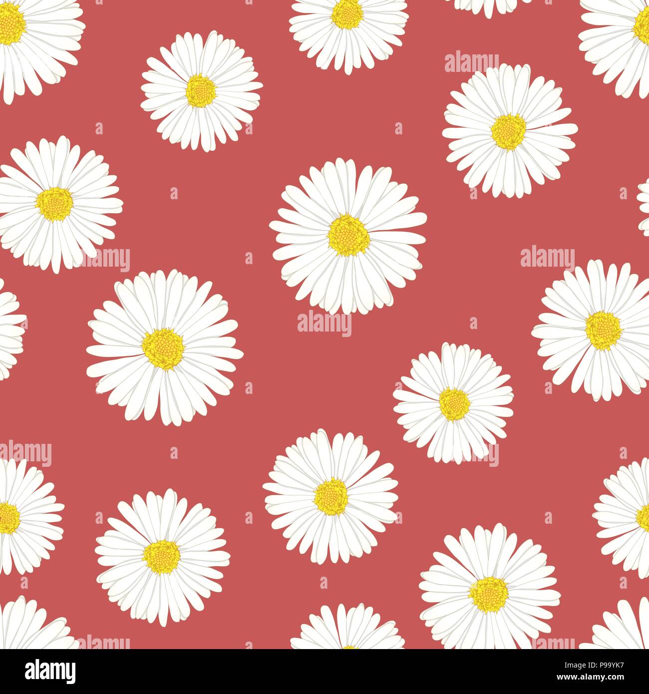 White Aster, Daisy Seamless on Red Background. Vector Illustration ...