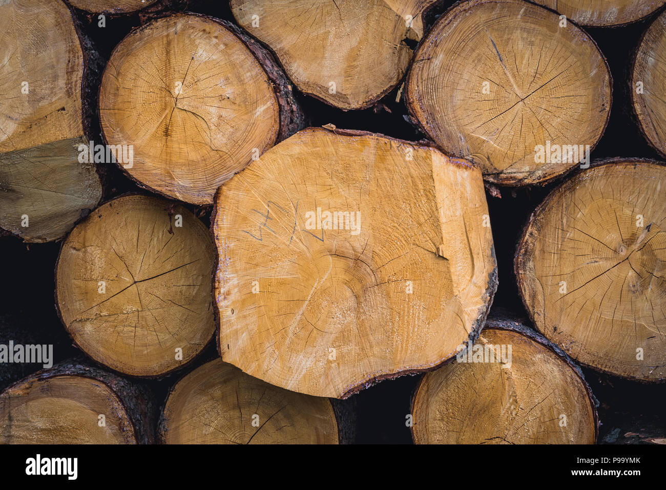 Logging in the czech republic hi-res stock photography and images - Alamy