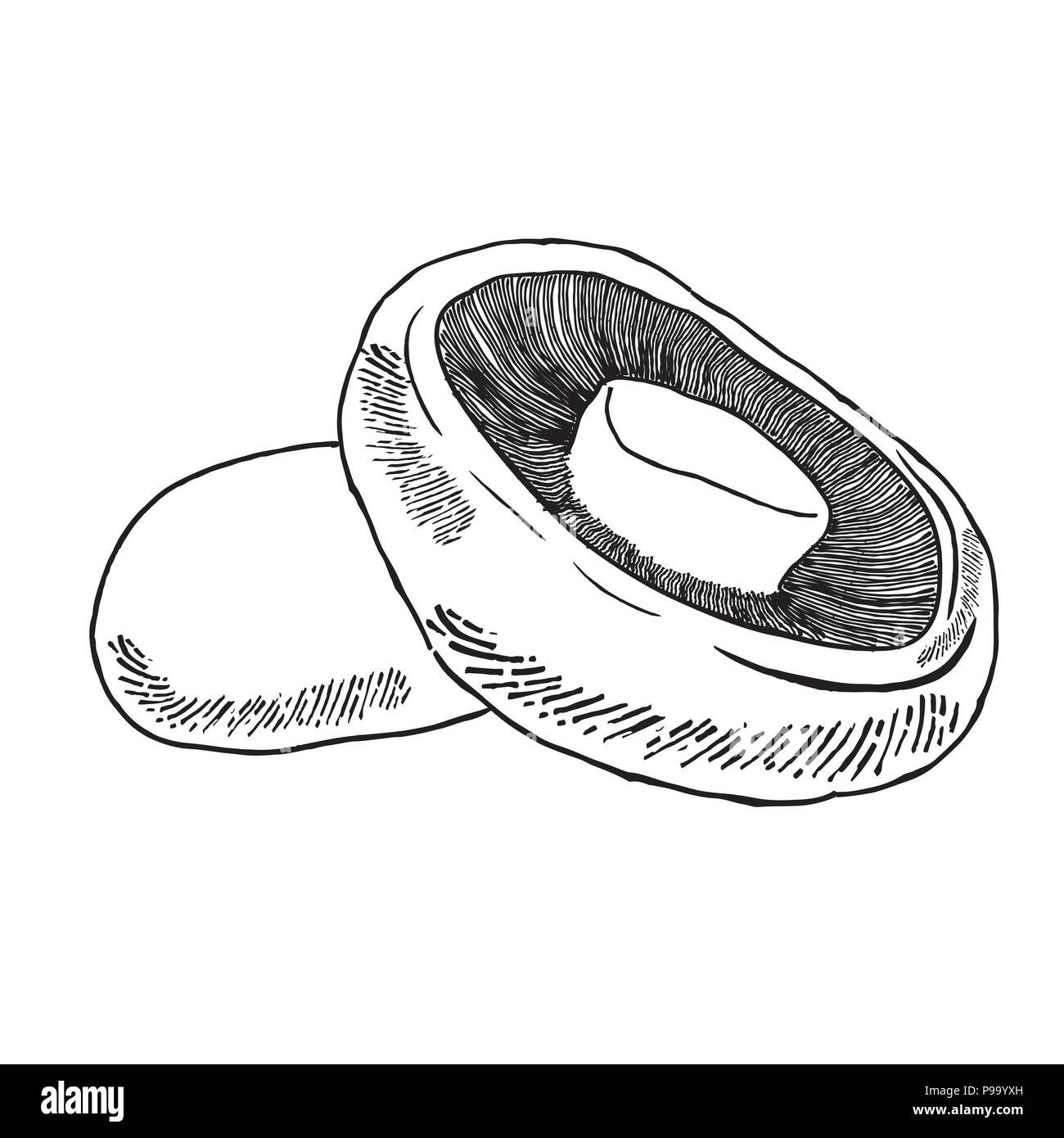 Hand drawn outline champignon isolated on white background, vector ...