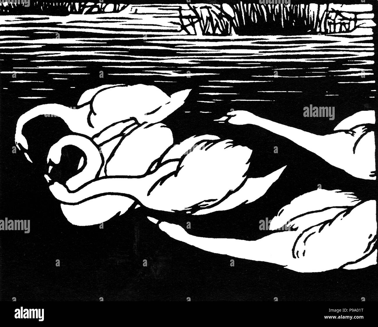 Museum of fine a Black and White Stock Photos & Images - Alamy