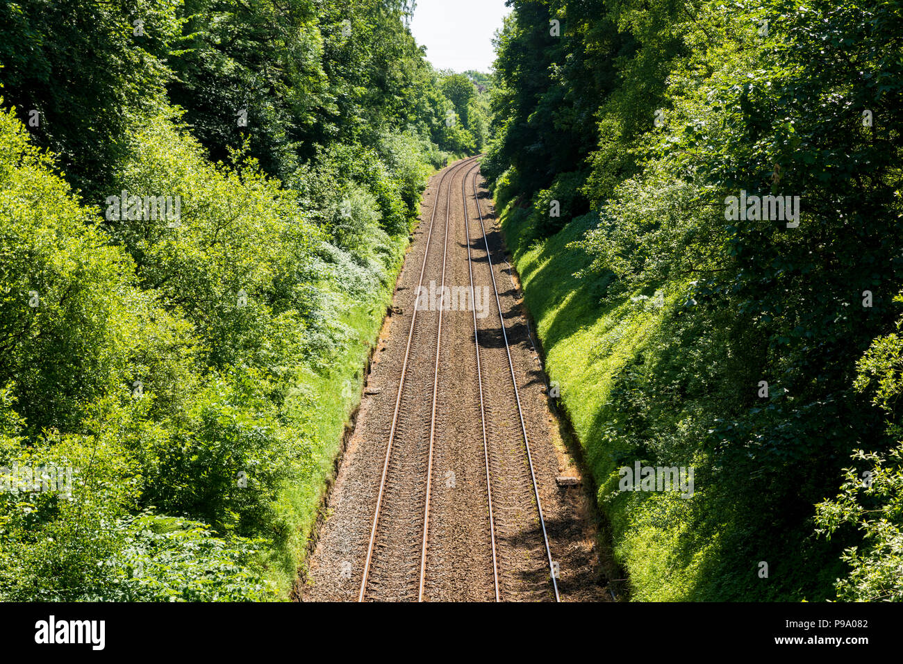 Straight railway line through a cutting, with greenery on either side ...